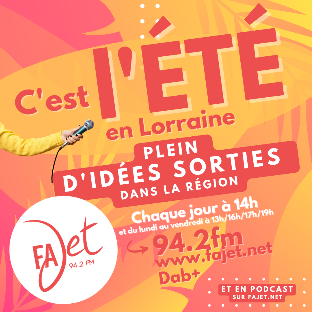 Activités d'été à Nancy : Interview avec Vincent Dubois